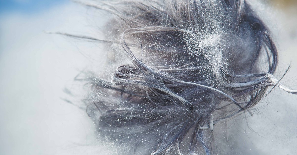 Flour Fight Festival (Els Enfarinats) 2019 - Valencia, Spain